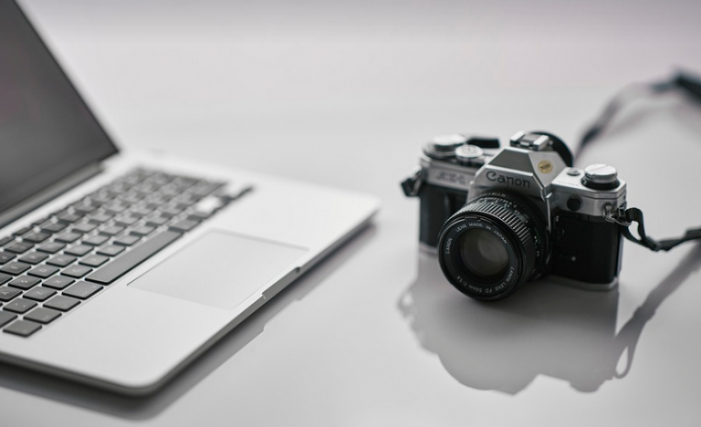 Bell Pepper Color Stages: A Guide To Understanding The Ripeness – Howal ...